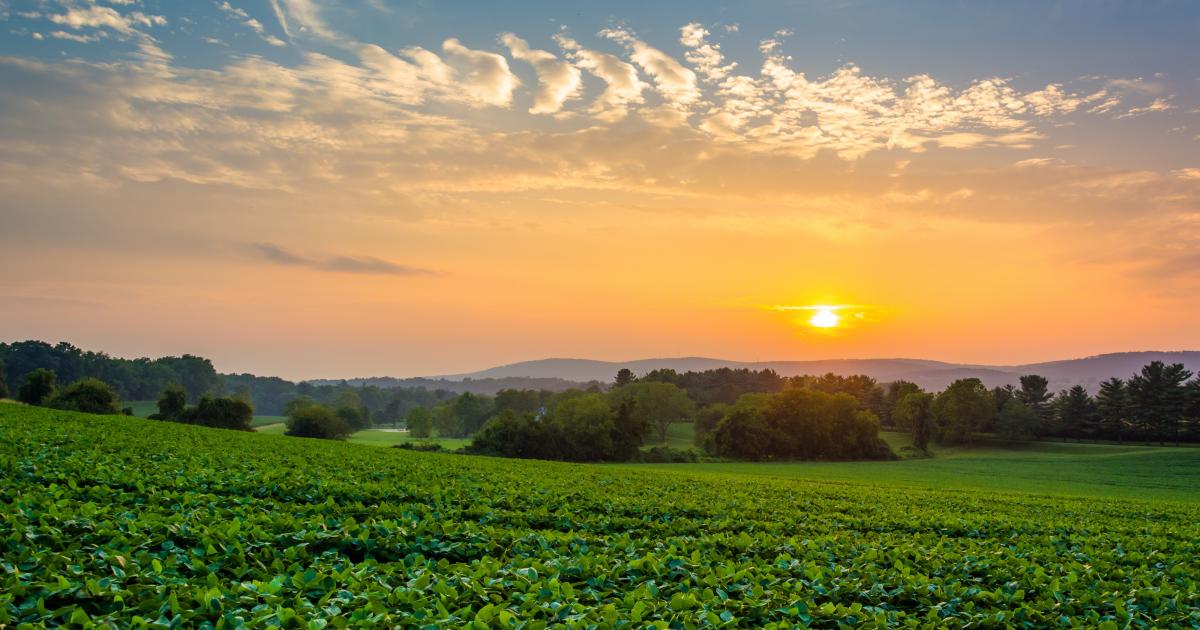 About | Great Lakes Agribusiness Insurance Company